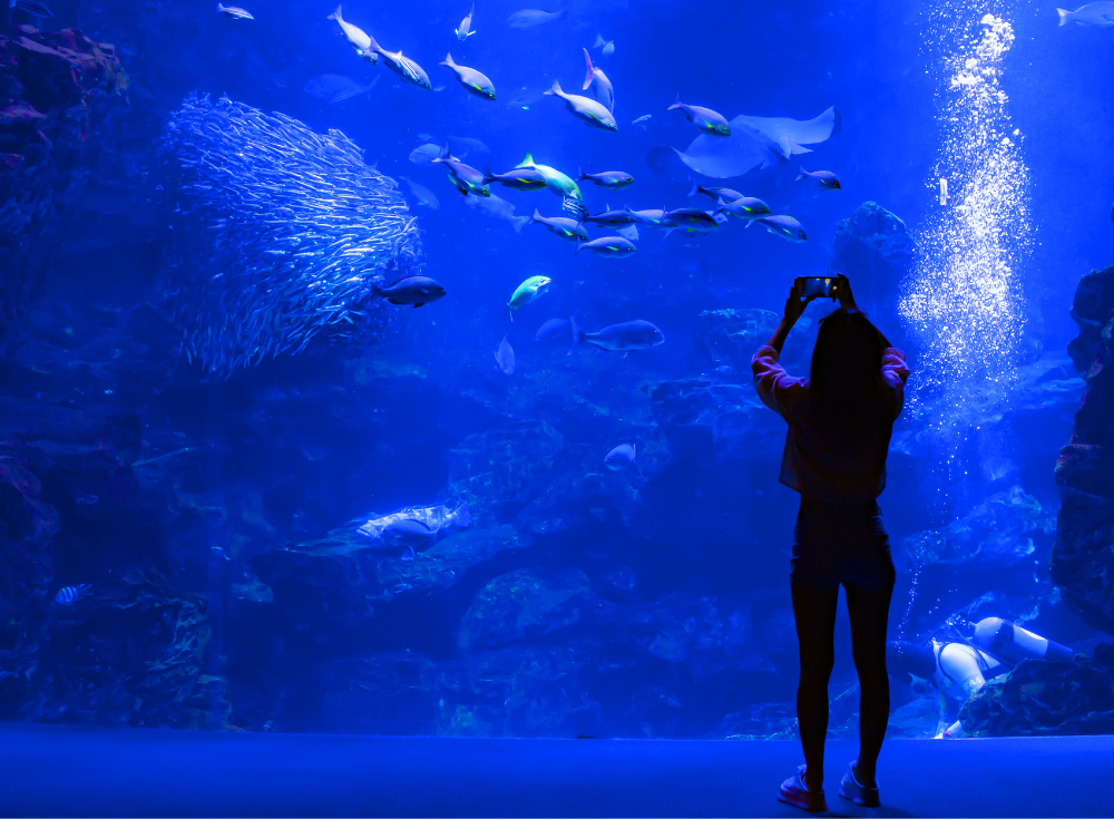 【全国】一度は見たい！話題のおすすめ観光地20選 - Jcationブログ